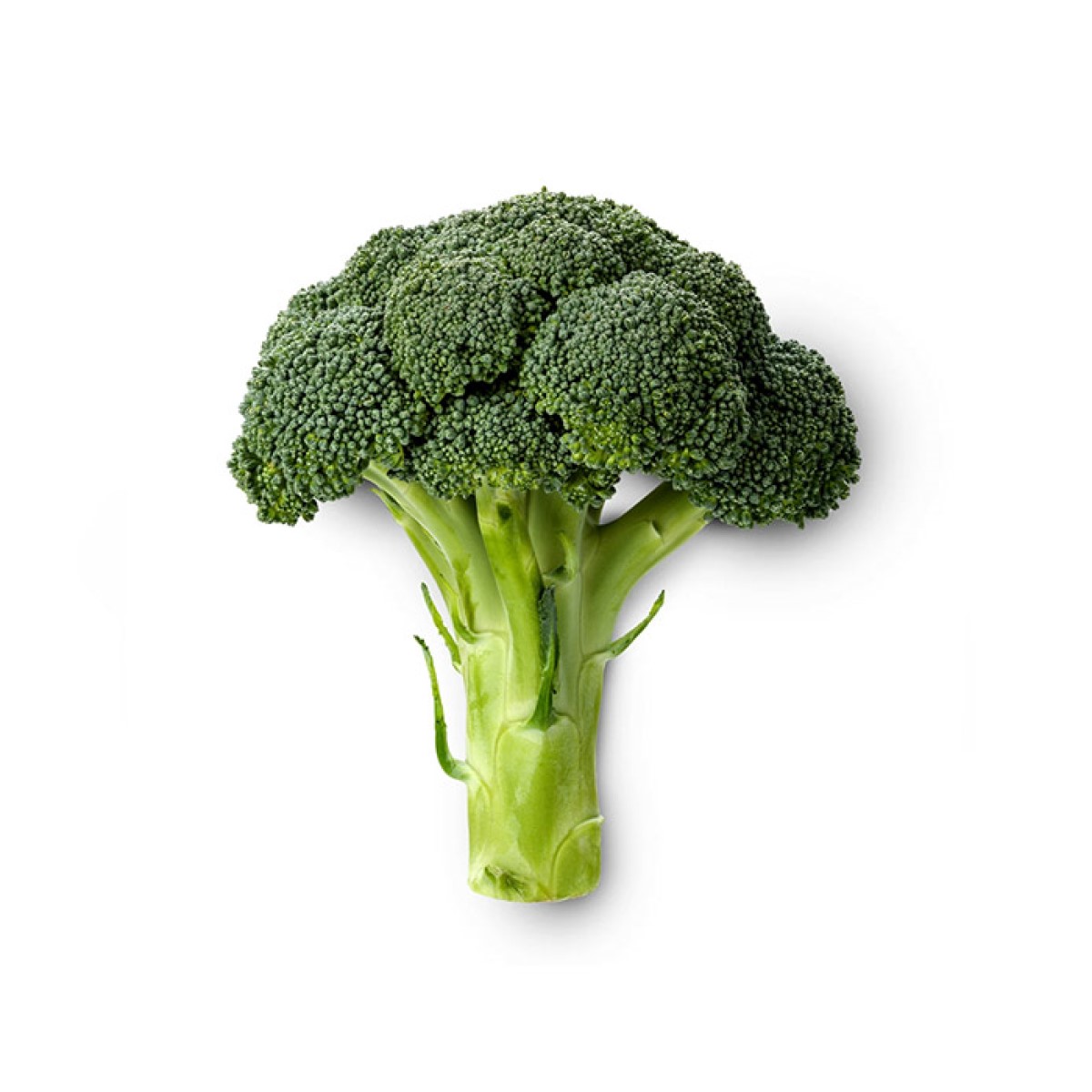 Cruciferous Vegetables – Basking Greens